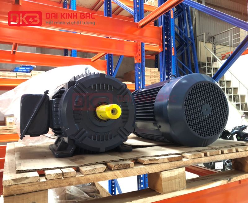 Motor Điện 3 Pha Hyosung Hàn Quốc